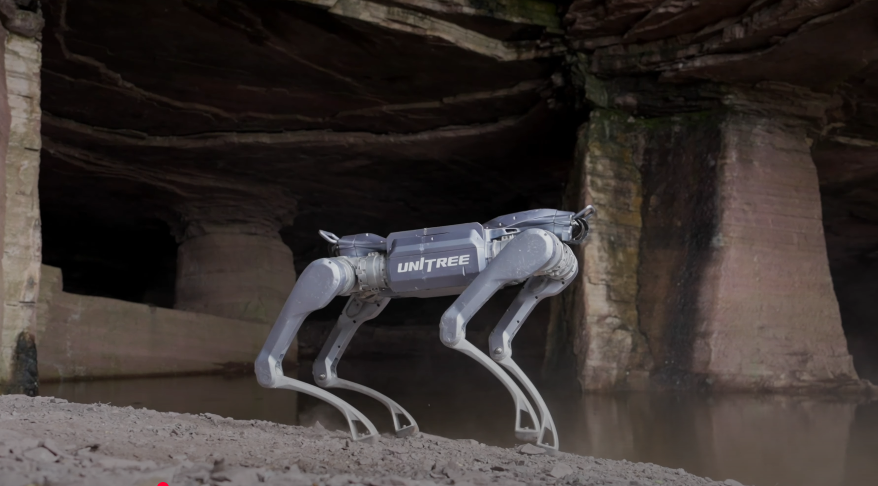 New quadruped robot Unitree A2 Stellar Hunter